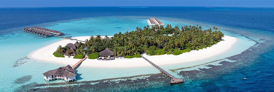 Sub Aqua - Tauchsafaris, Tauchreisen, Tauchurlaub, Tauchschulen ...